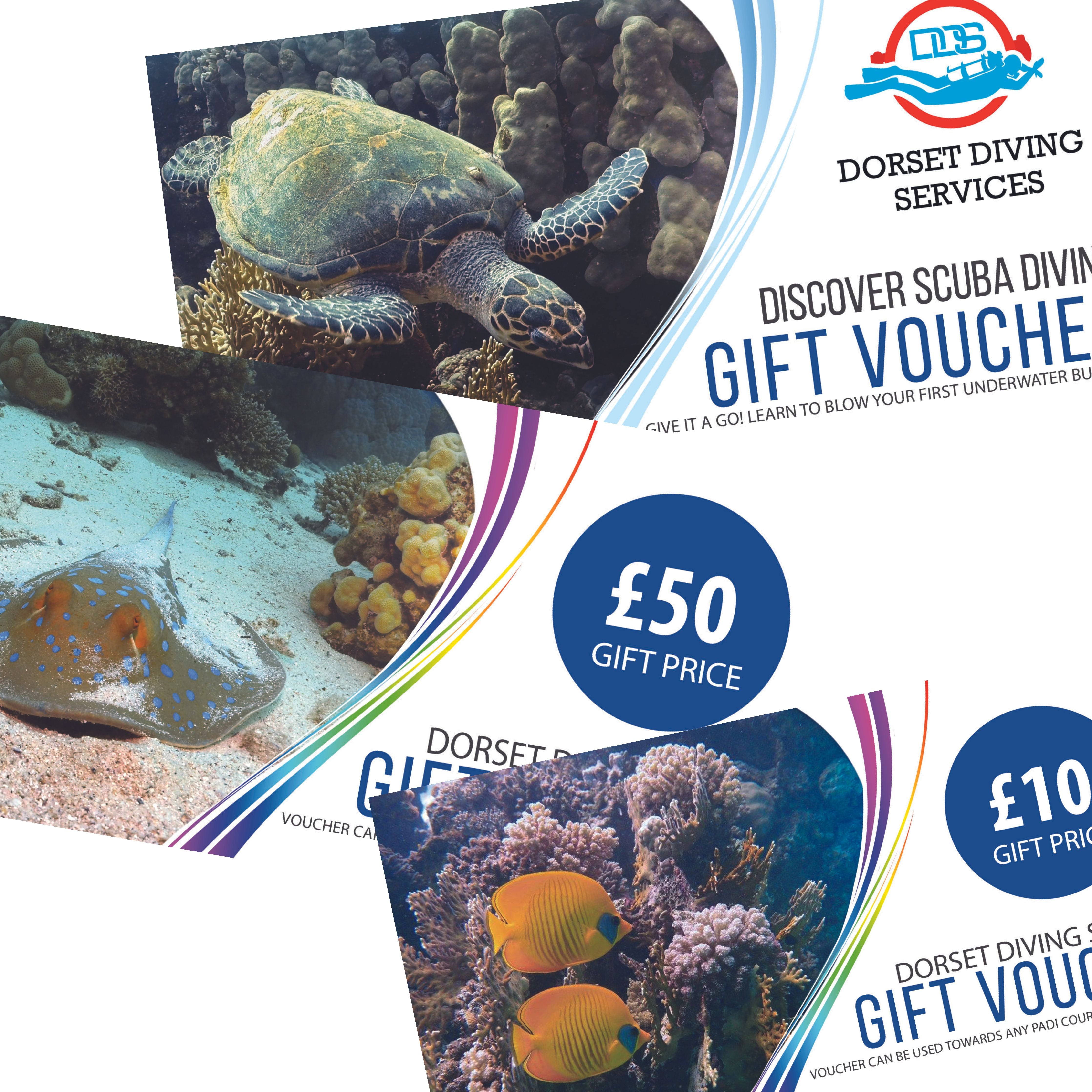 Gift Vouchers – Dorset Diving Services