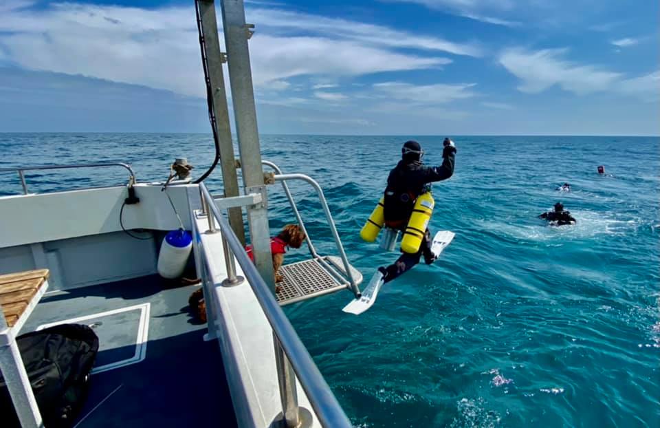 Dorset Diving Services - Get your PADI in Bournemouth & Poole, Dorset