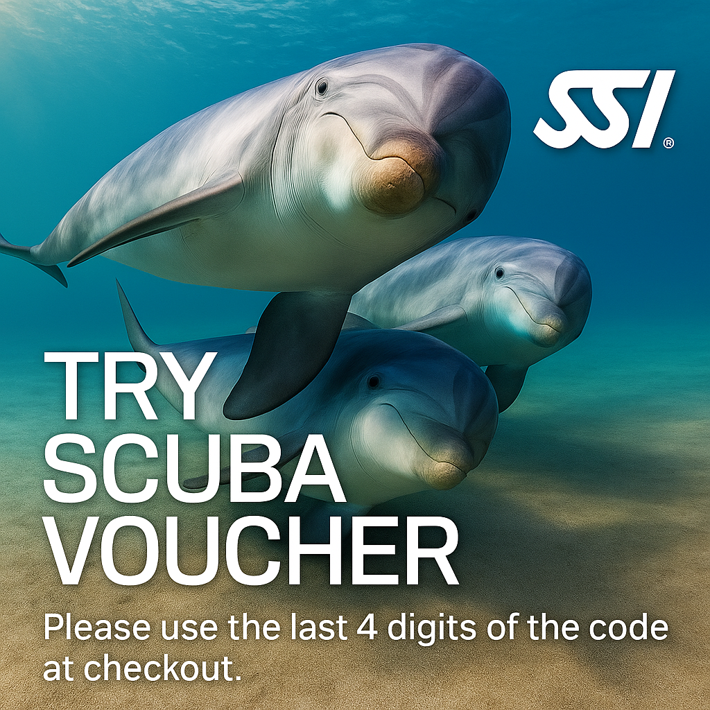 SSI Try Scuba eVoucher – Dorset Diving Services