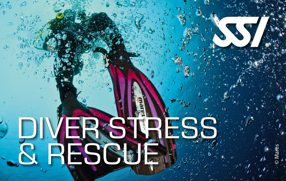 SSI Diver Stress & Rescue Course – Dorset Diving Services