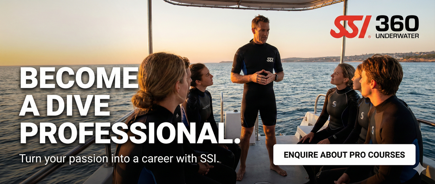 Dorset Diving Services - Poole & Bournemouth’s Premier SSI Dive Centre