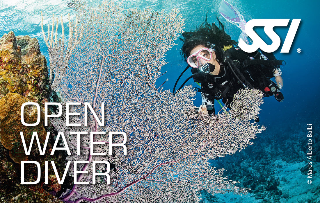 SSI Open Water Diver Course – Dorset Diving Services
